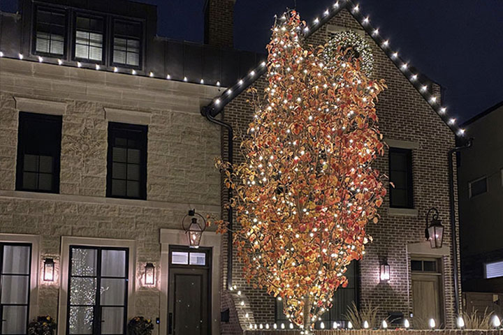 About - First In Lights and Design