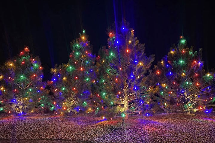 5 Star Commercial Christmas Lighting in Parker CO - First In Lights and ...