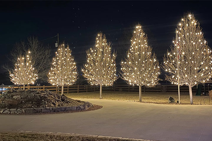 5 Star Commercial Christmas Lighting in Parker CO - First In Lights and ...